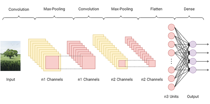 شبکه عصبی کانولوشن (CNN) چیست؟ - کوئرا‌بلاگ