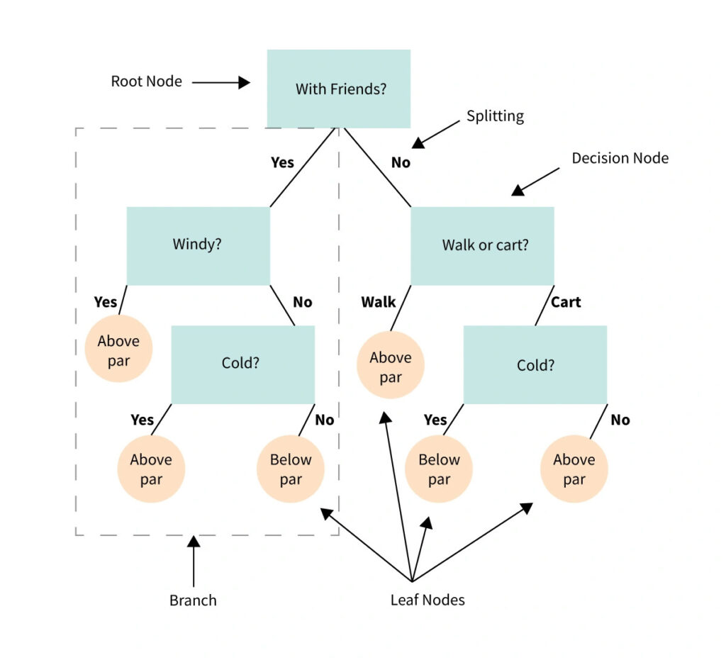  Decision Tree 
